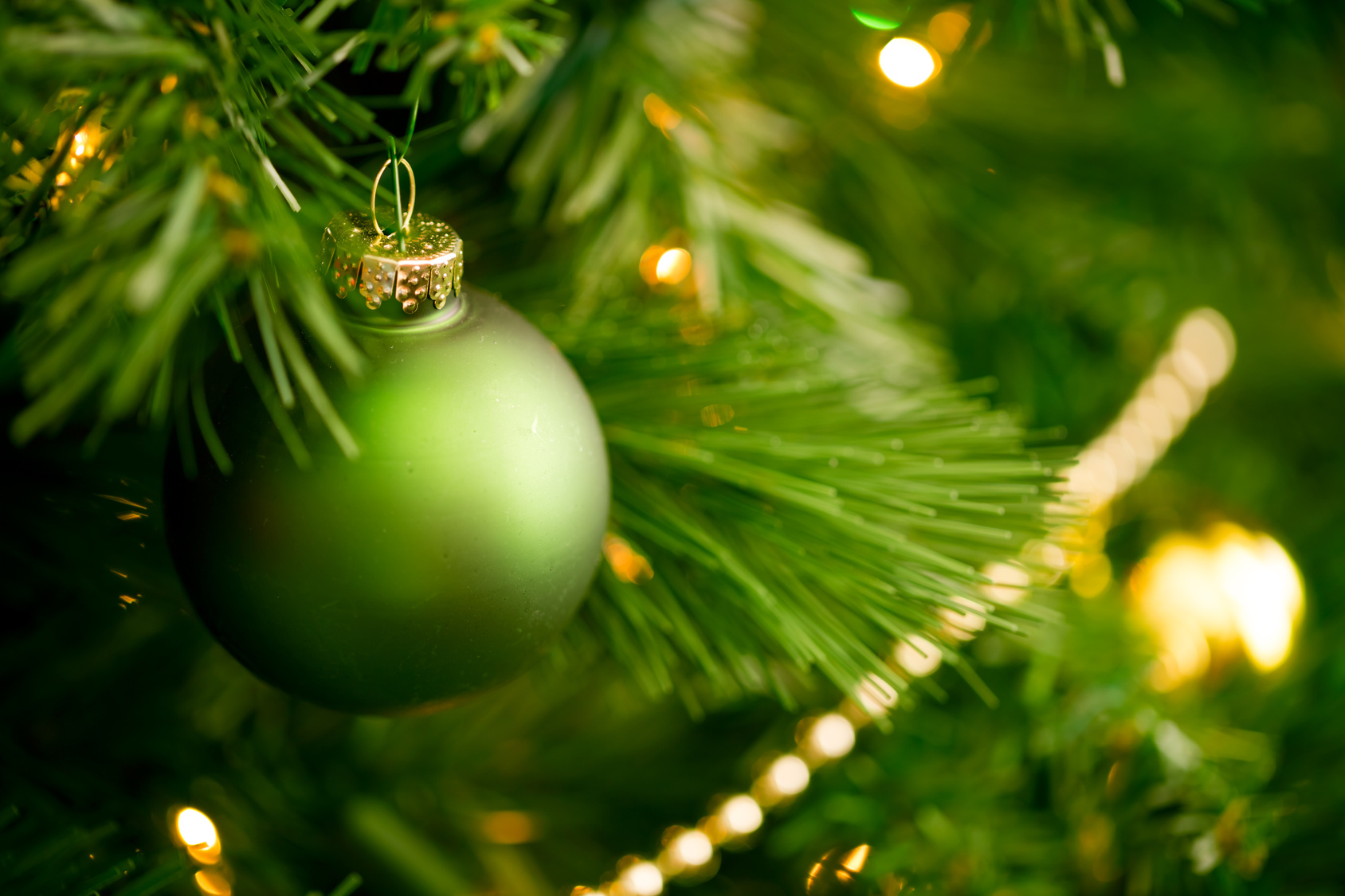 Choosing Christmas Trees: Real vs. Artificial - Mark Hunke