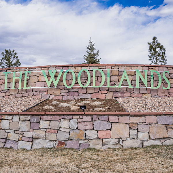 The Woodlands - Michael Phillip - Colorado Real Estate