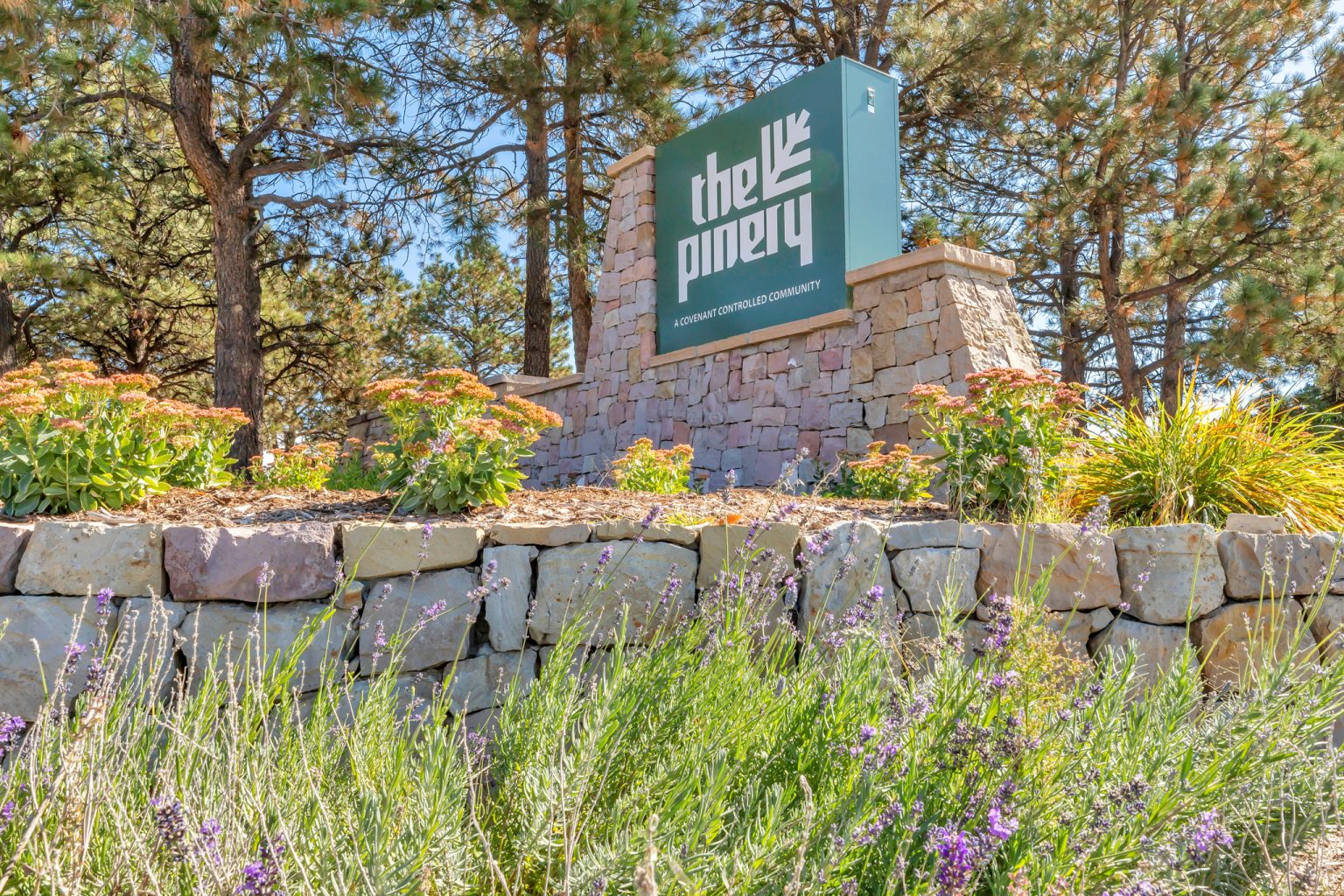 Homes for sale in The Pinery - Phillip Booghier LIV Sothebys